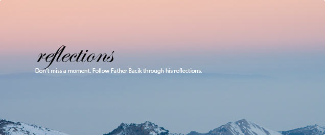 Home Bio Reflections Articles Lecture Schedule Lecture Videos Fr. Bacik ...